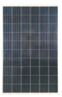 SYM60-6-260P-280P – SolarFeeds