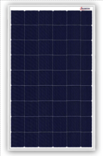 Poly 100W 12V – SolarFeeds