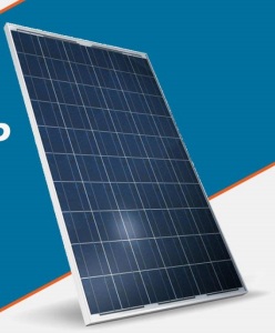 PS-310-325P – SolarFeeds