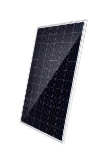 ASP P6-60 Series 275W-290W – SolarFeeds