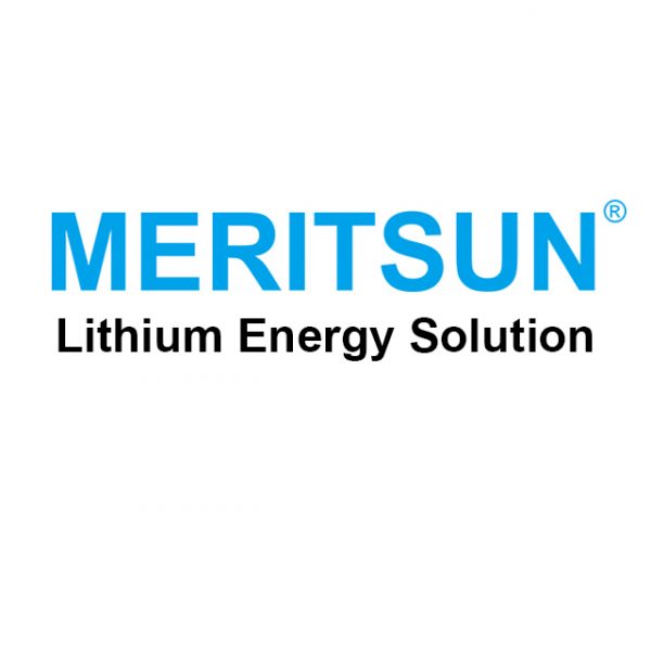 MERITSUN Company Overview | Production Capacity, Is it Tier1?