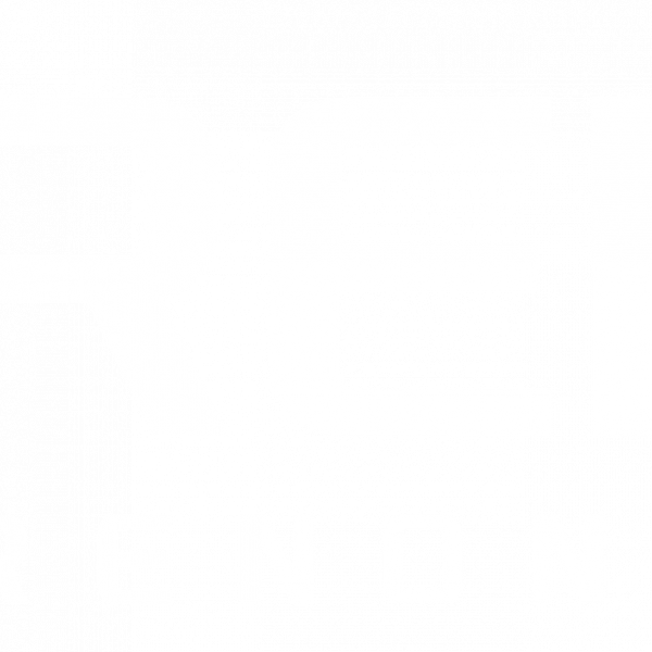 RENON Power Company Overview | Production Capacity, Is it Tier1?