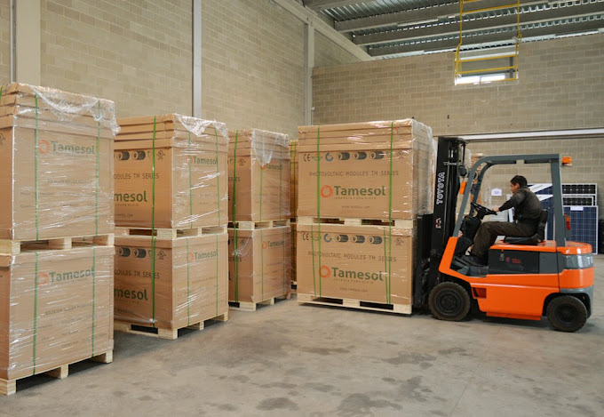 TAMESOL Company Overview | Production Capacity, Is it Tier1?