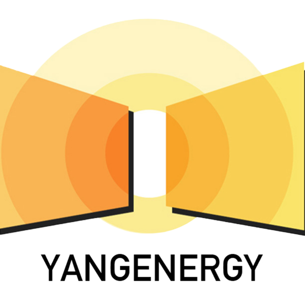 Yang Energy Company Overview | Production Capacity, Is it Tier1?